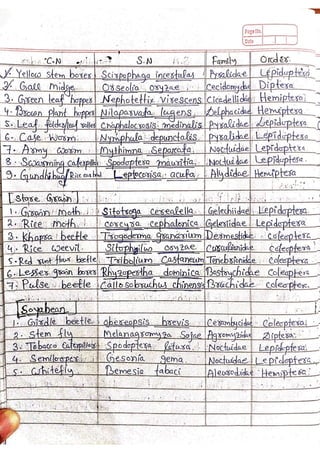 Scientific name, Family, Order of Various insect pests | PDF