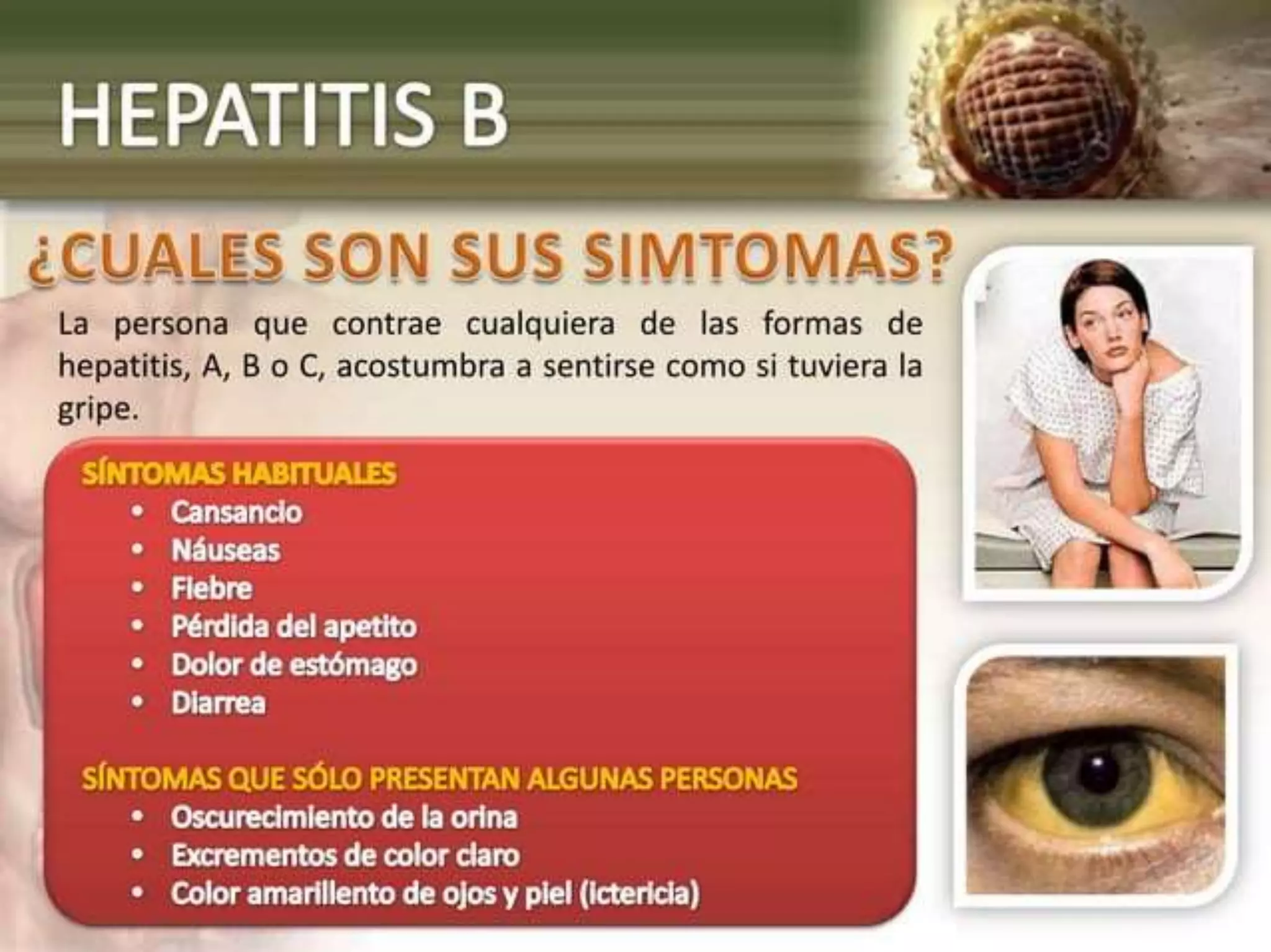 hepatitis b | PPTX