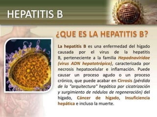 hepatitis b | PPT