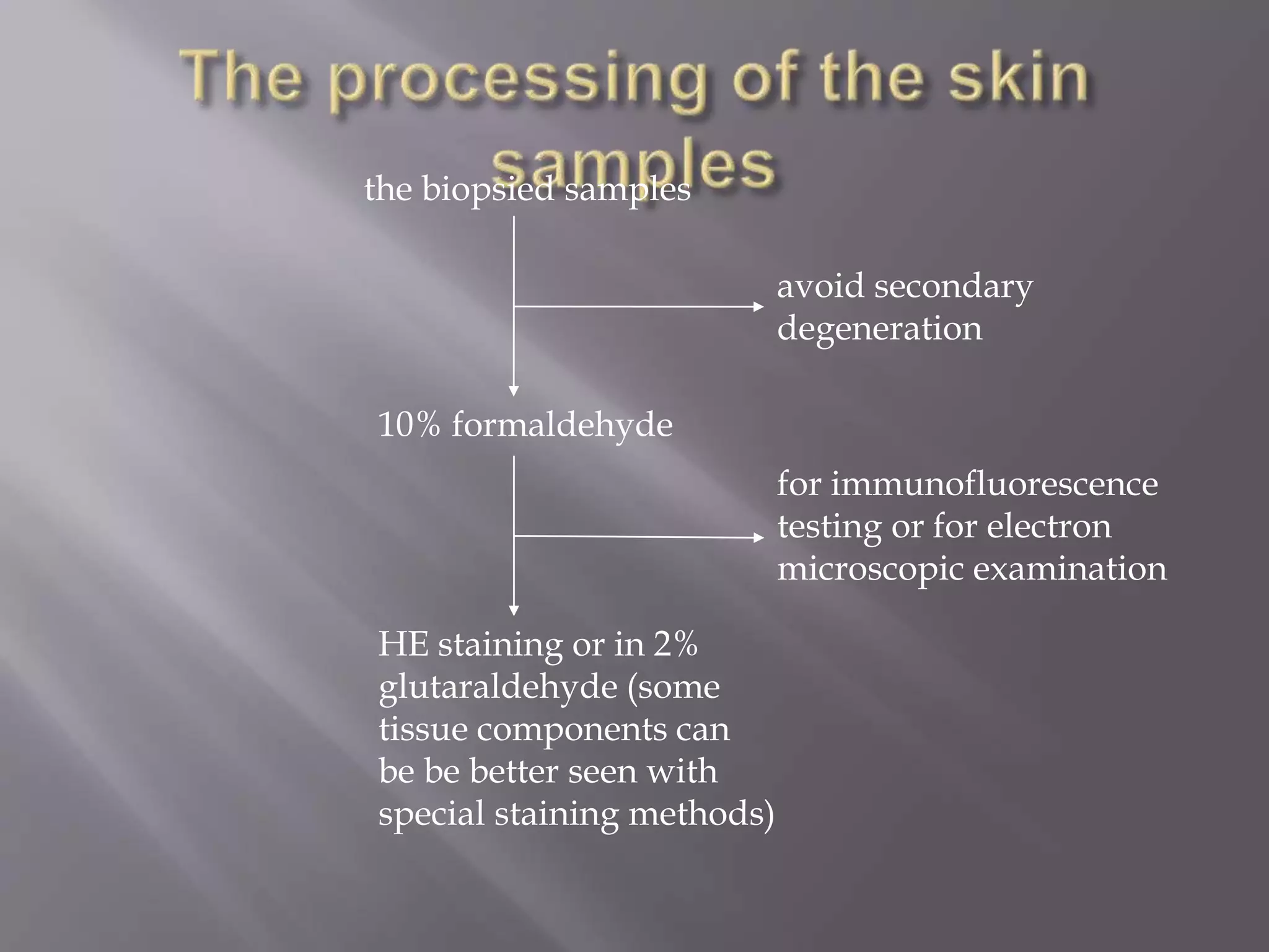 3 Dermatopathology.pptx