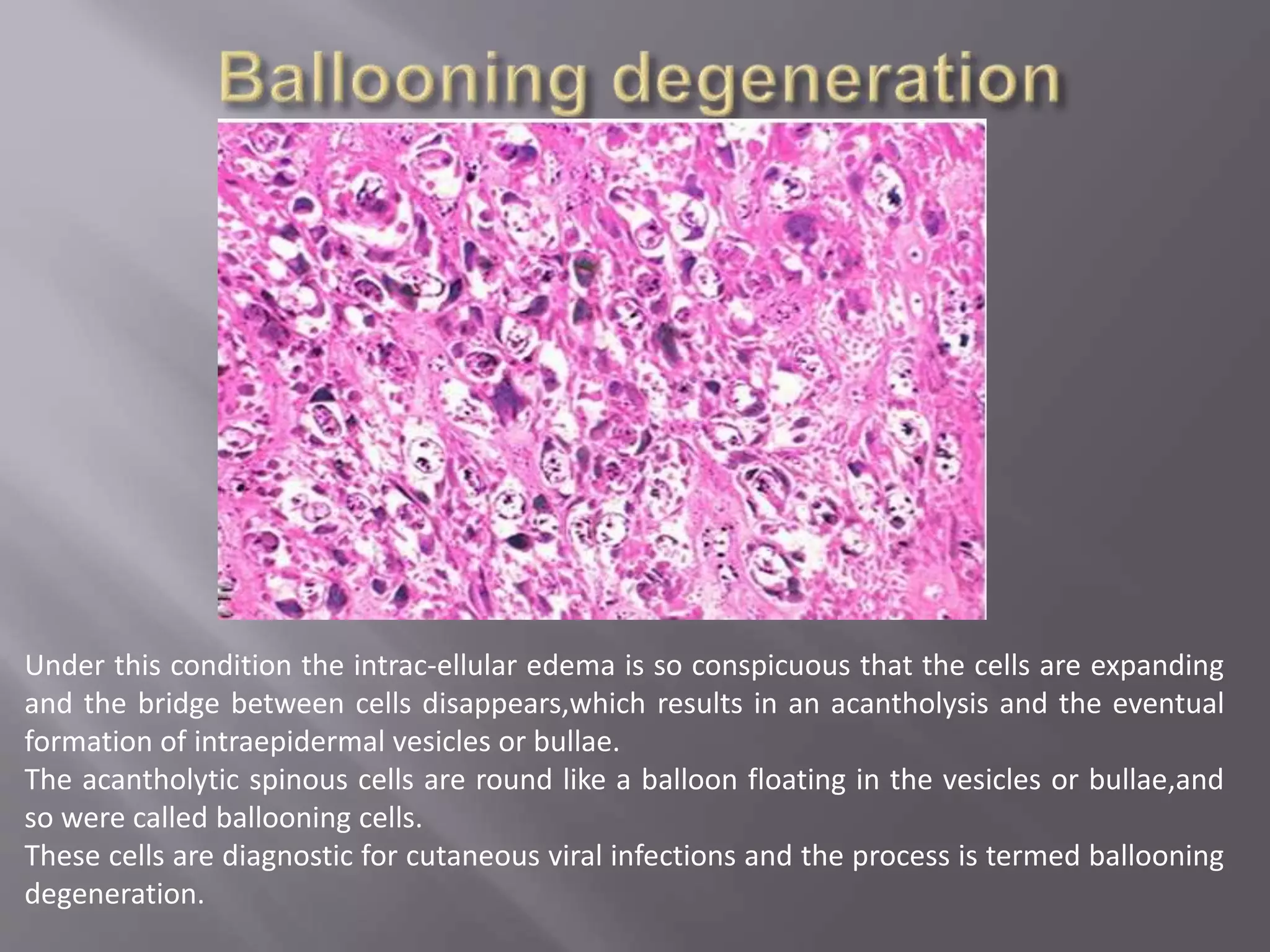 3 Dermatopathology.pptx