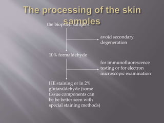 3 Dermatopathology.pptx