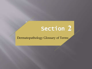 3 Dermatopathology.pptx