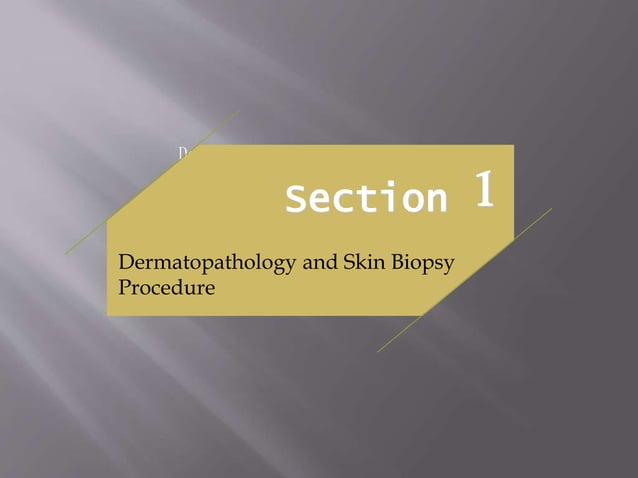 3 Dermatopathology.pptx | Skin and Dermatology | Diseases and Conditions