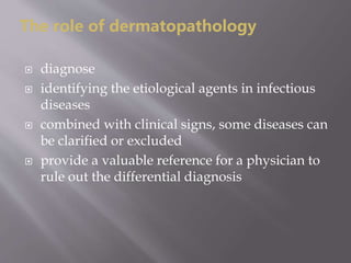 3 Dermatopathology.pptx