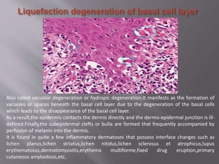 3 Dermatopathology.pptx