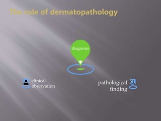 3 Dermatopathology.pptx