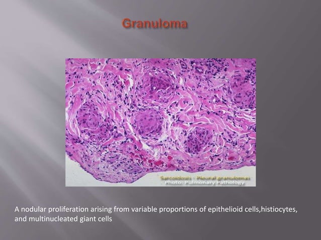 3 Dermatopathology.pptx | Skin and Dermatology | Diseases and Conditions