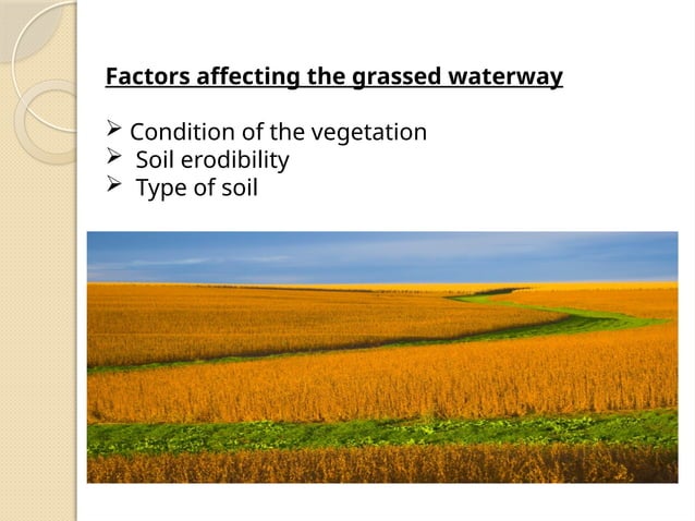 3 Design - Grassed Water way problems.pptx