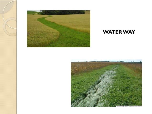 3 Design - Grassed Water way problems.pptx