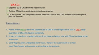 Isolation of plant genomic DNA | PPTX