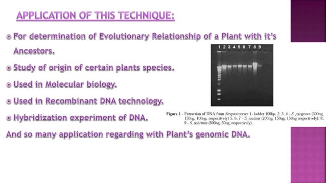 Isolation of plant genomic DNA | PPTX | Biological Sciences | Science