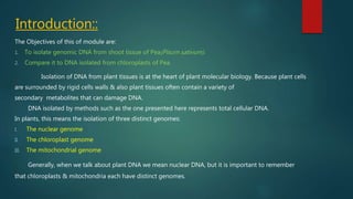 Isolation of plant genomic DNA | PPTX