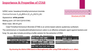 Isolation of plant genomic DNA | PPTX