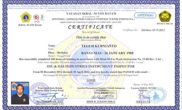 Instrument Inspector . | PDF