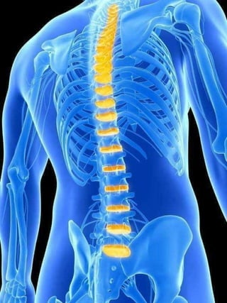 3D Human internal organs skeleton structure.pptx