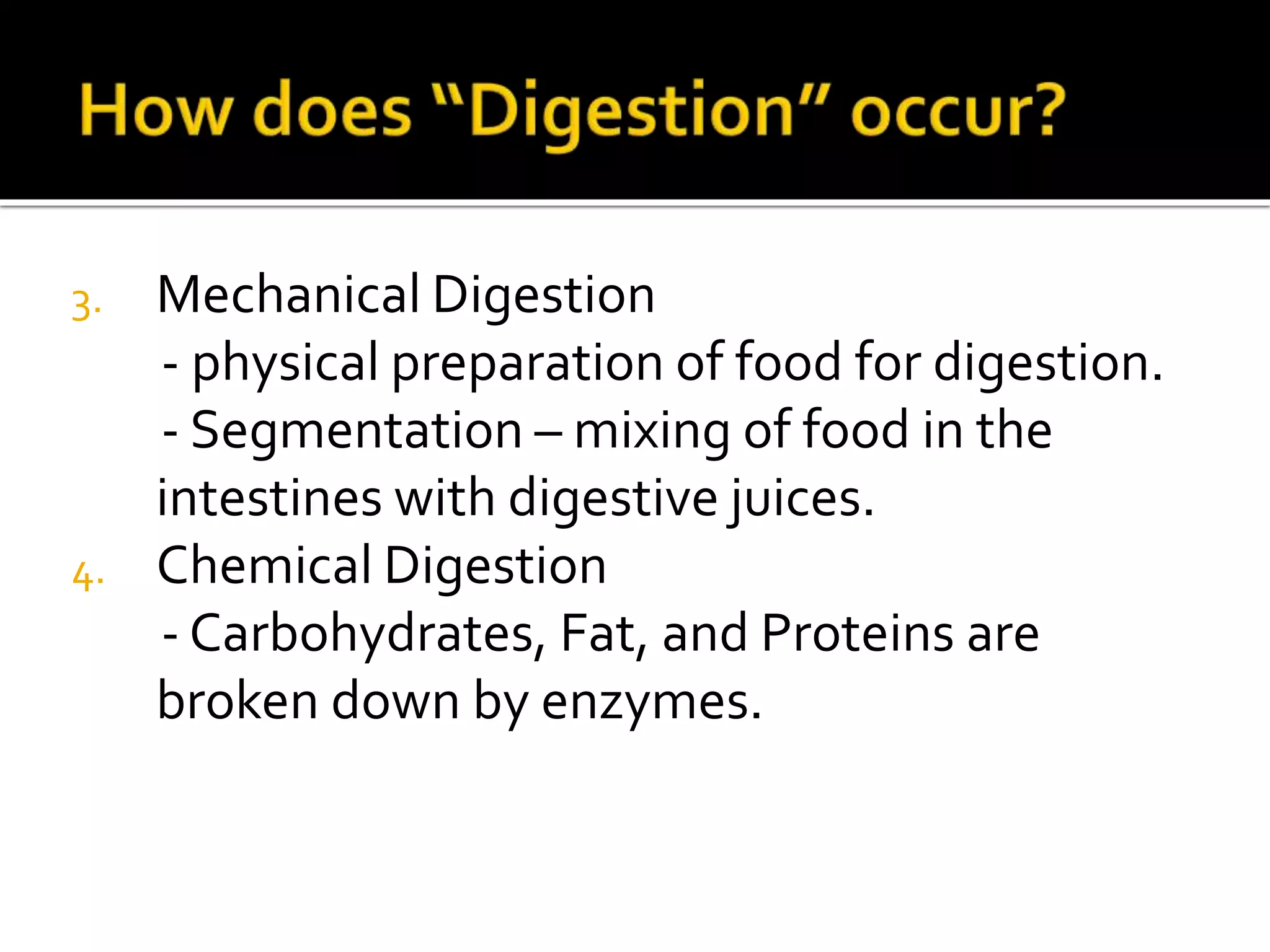 Anatomy and Physiology of Endocrine System | PPT