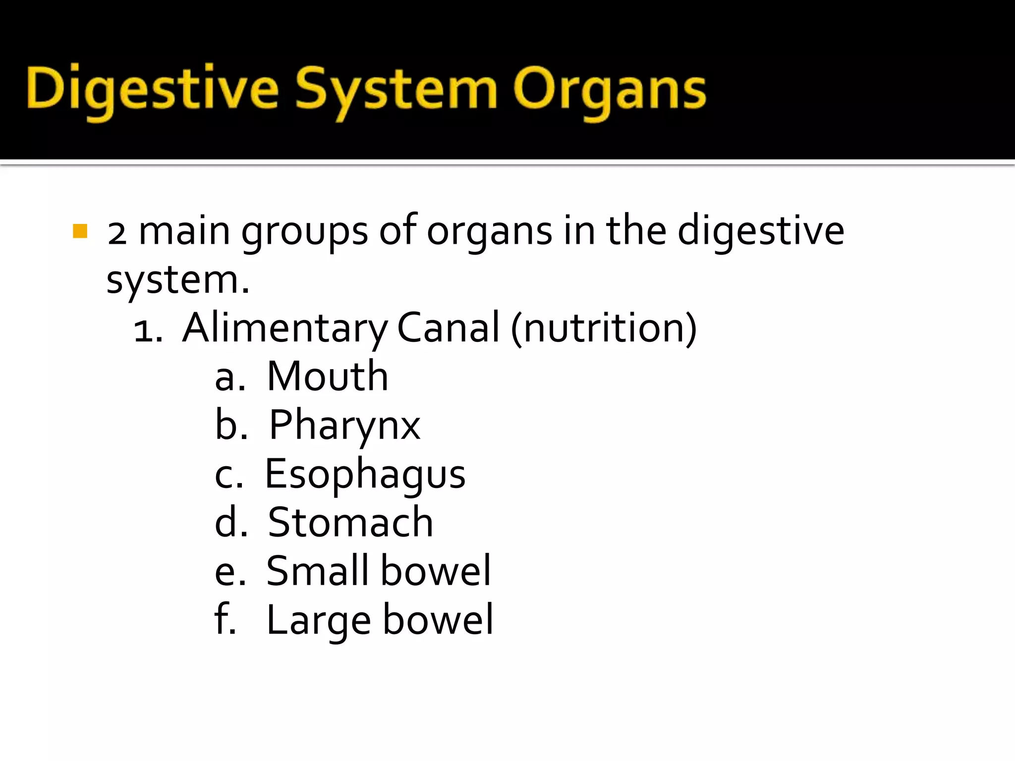 Anatomy and Physiology of Endocrine System | PPT