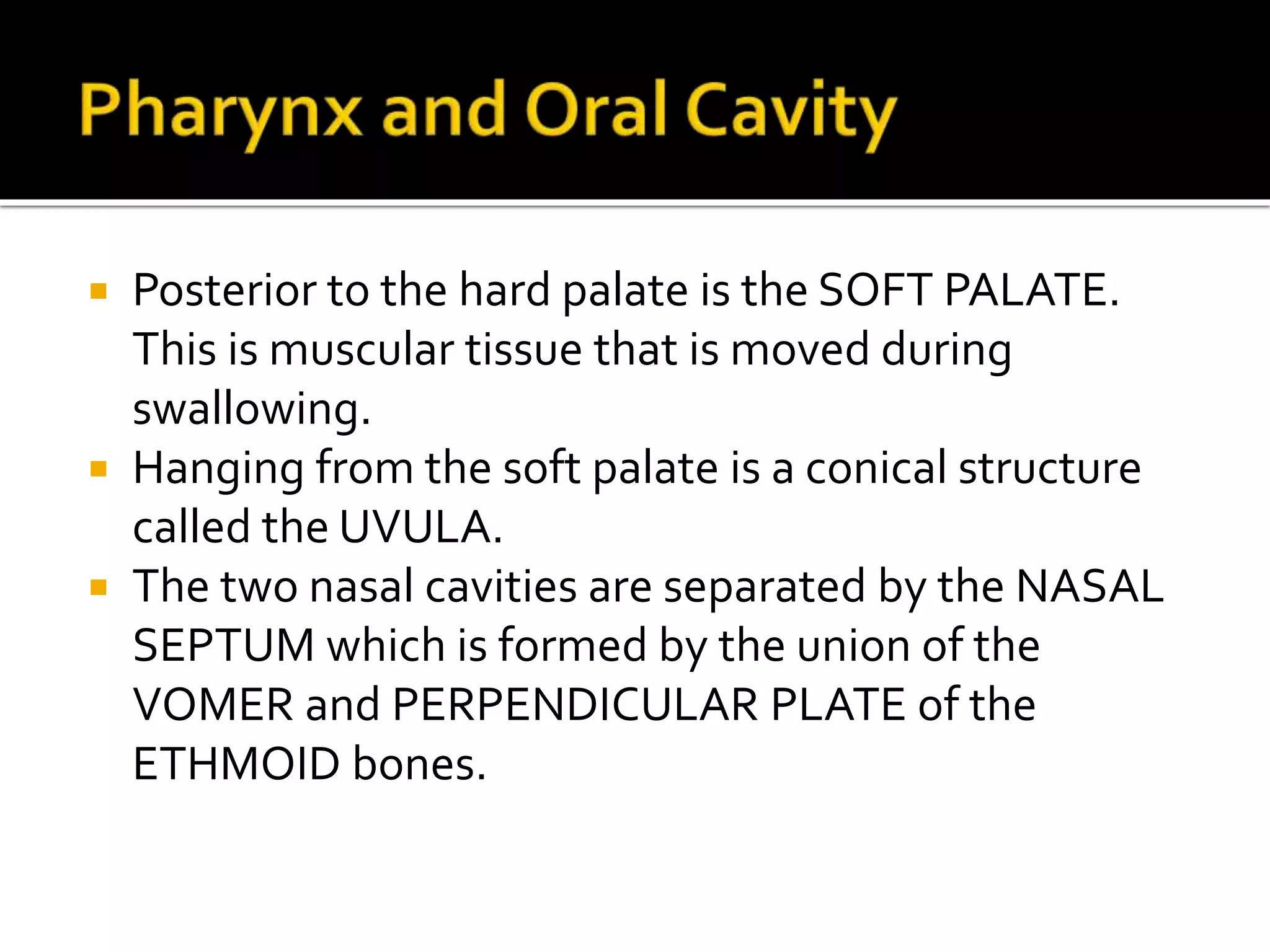 Anatomy and Physiology of Endocrine System | PPT