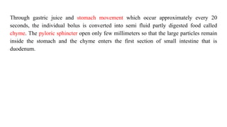 Digestive system | PPTX