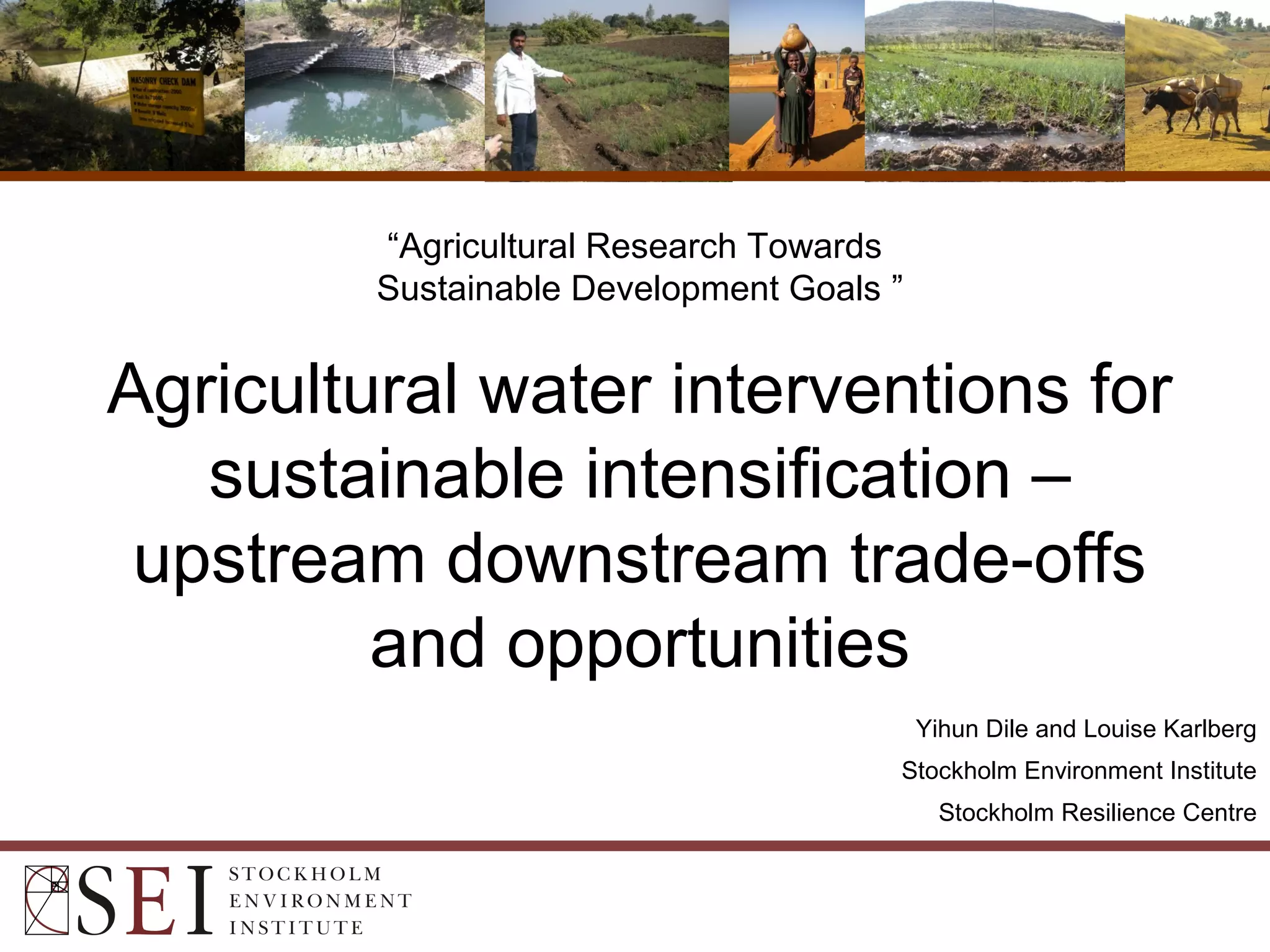 Agricultural water interventions for sustainable intensification ...