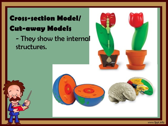3D instructional materials | PPT | Model Toys | Hobbies & Interests
