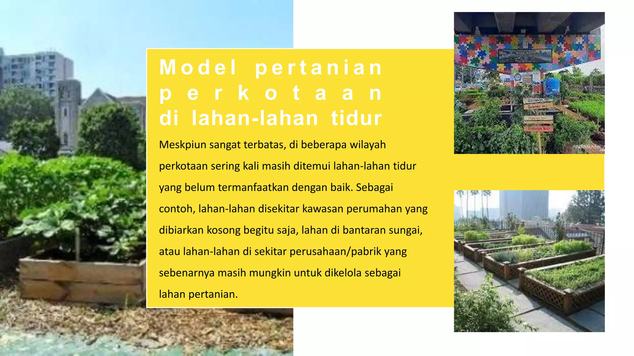 3 Dimensi Pertanian Perkotaan.pptx