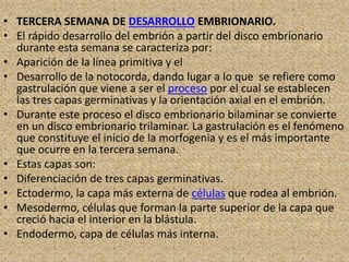 3 disco bilaminar y trilaminar.pptx