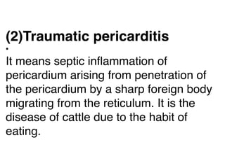 3 diseases of the heart | PDF