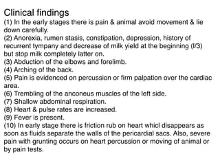 3 diseases of the heart | PDF