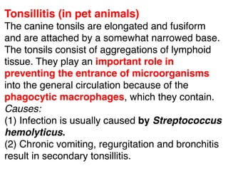 3 diseases o f the sinus | PDF