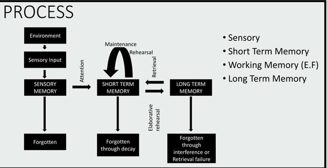 Disorders of memory | PPTX