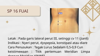 3D_Kelompok 8_spleen meridian akupuntur.pptx