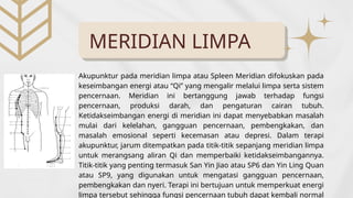 3D_Kelompok 8_spleen meridian akupuntur.pptx