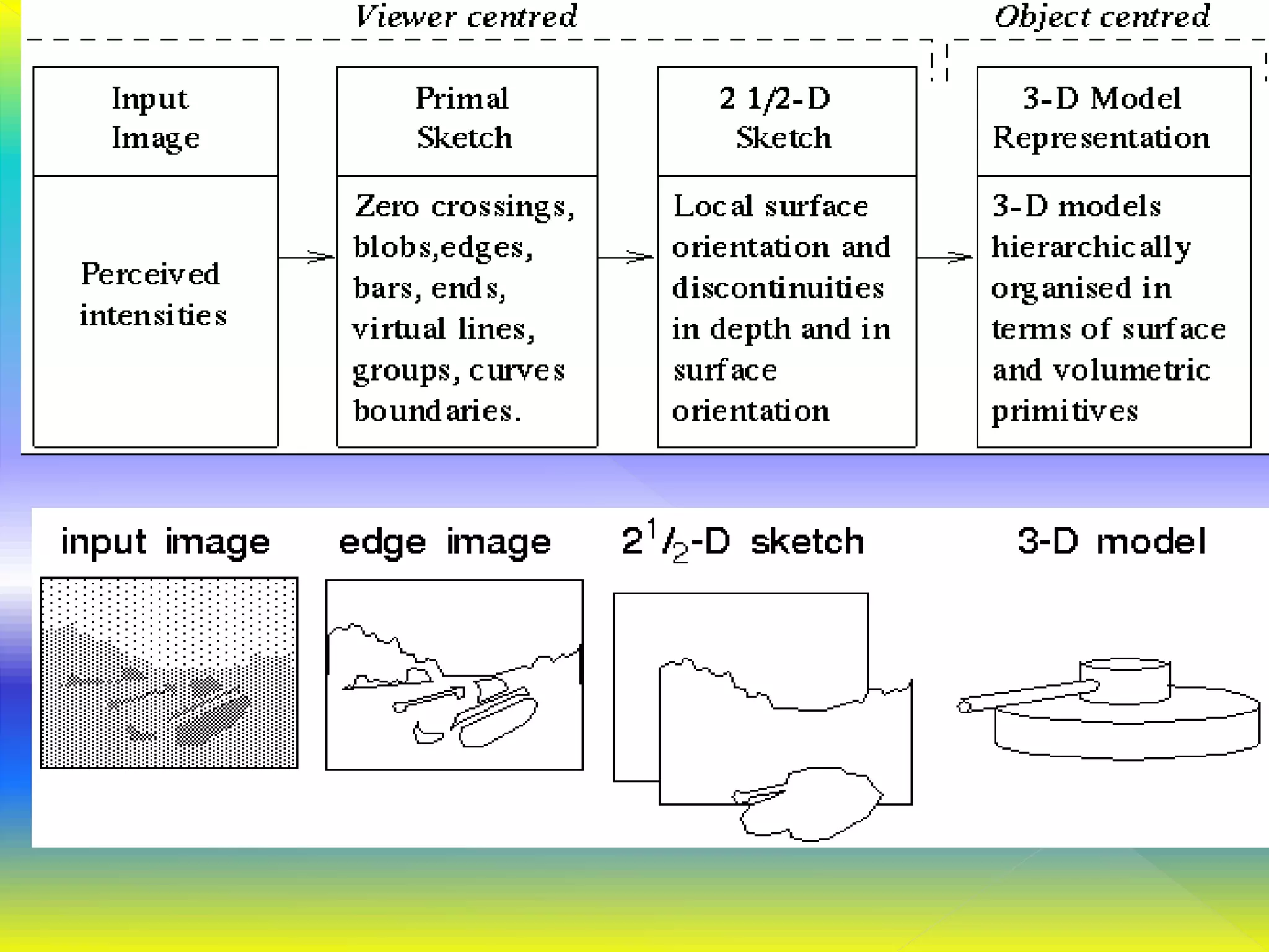 David Marr's 3d model | PPTX