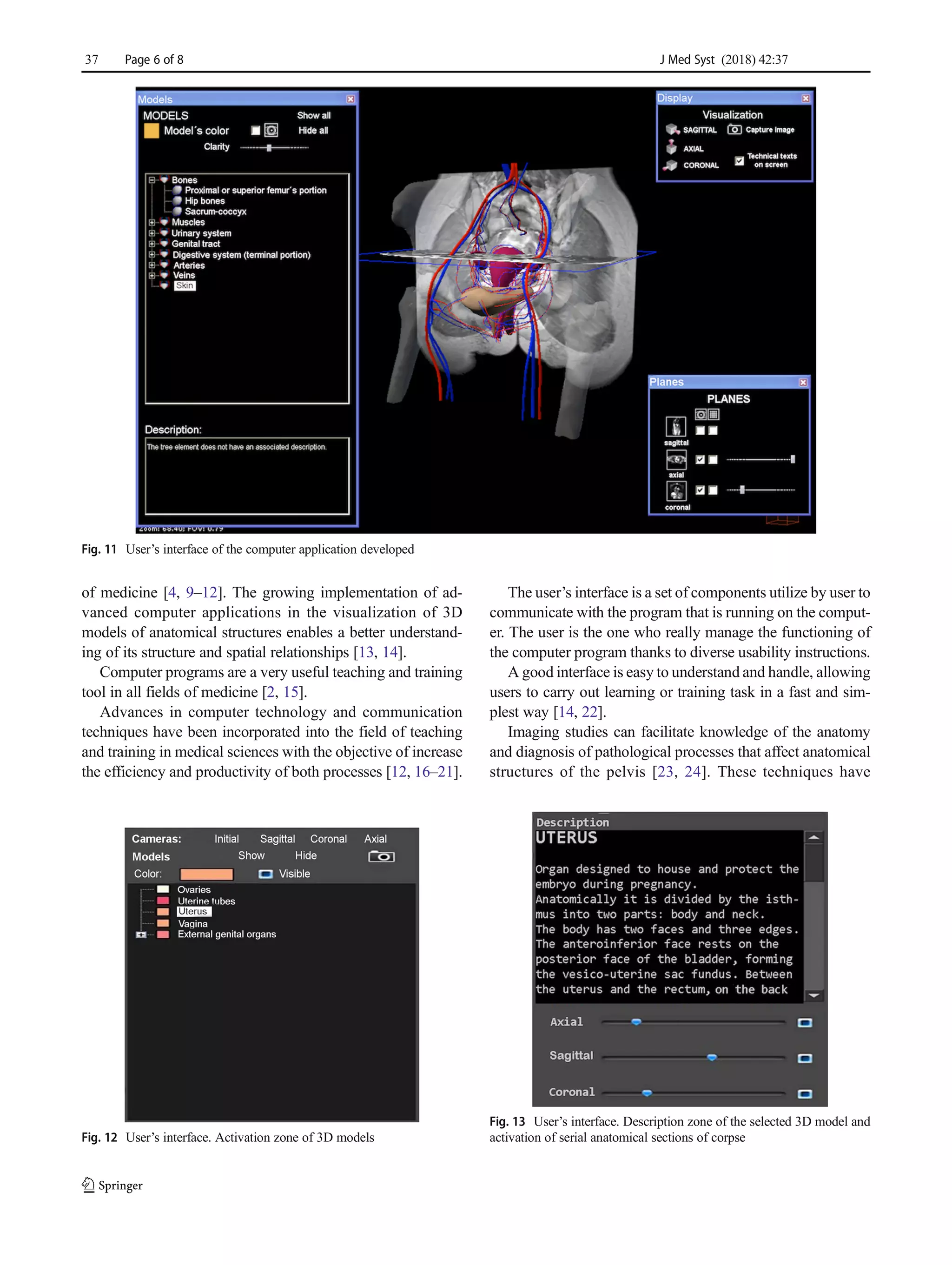 3 d models of female pelvis structures reconstructed | PDF