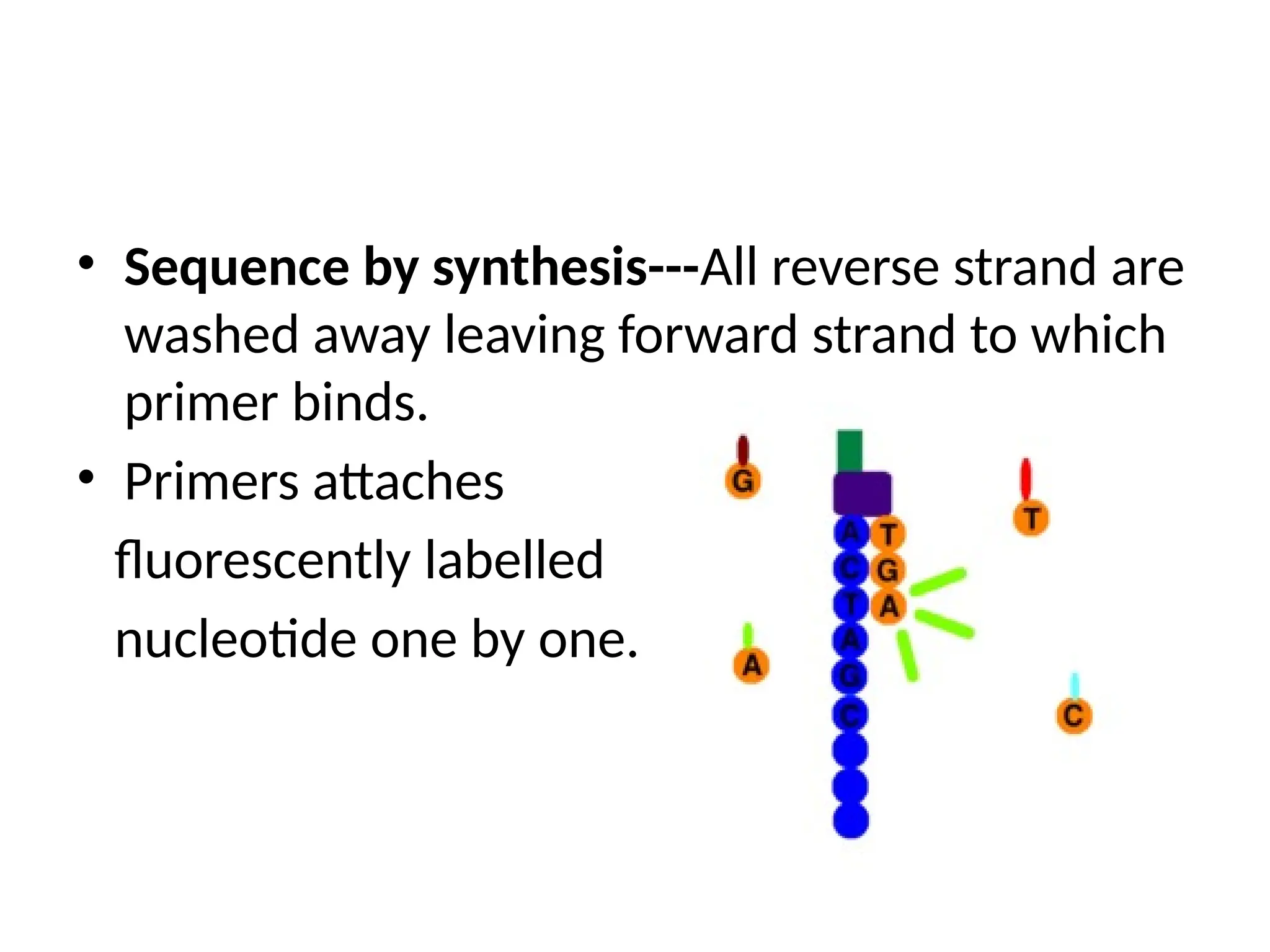 3 DNA Sequencing and types by taimoor Khan | PPT