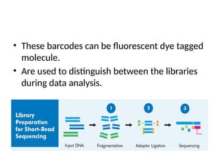 3 DNA Sequencing and types by taimoor Khan | PPTX
