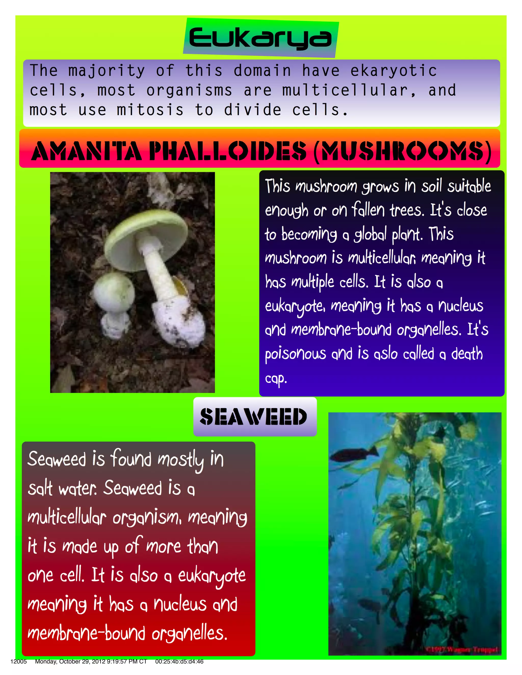 3 domain poster | PDF