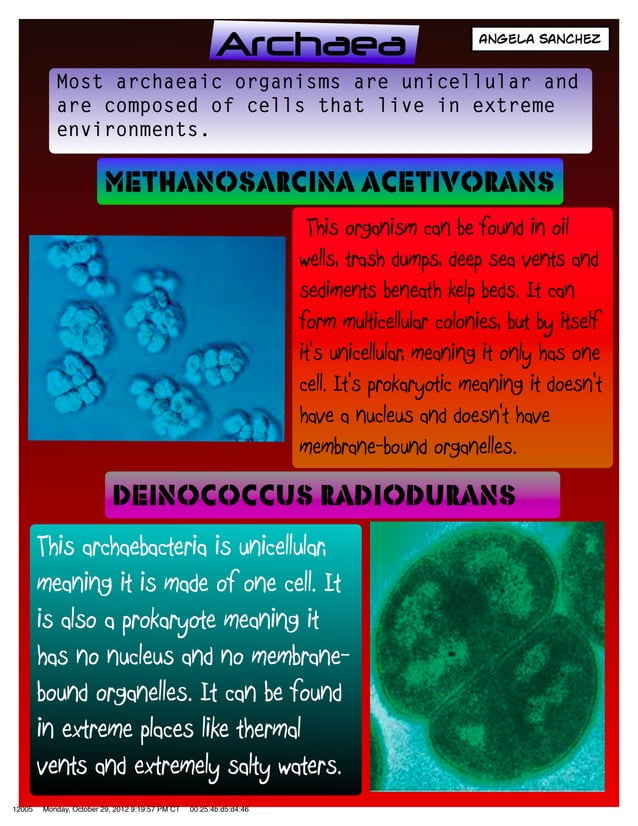 3 domain poster | PDF | Computer Networking | Computing