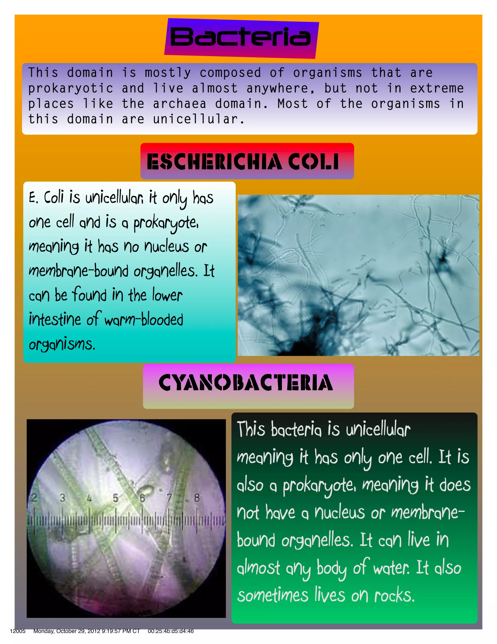 3 domain poster | PDF