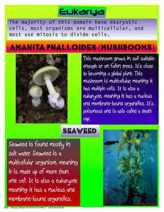 3 domain poster | PDF