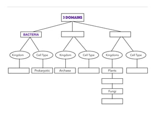 3 domains flow chart worksheet | PPT