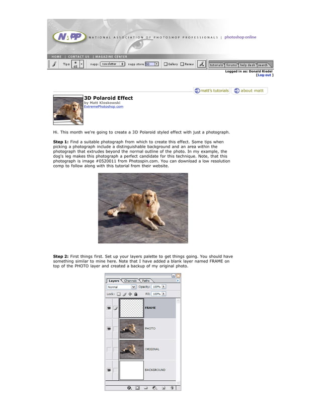 3 d polaroid effect | PDF