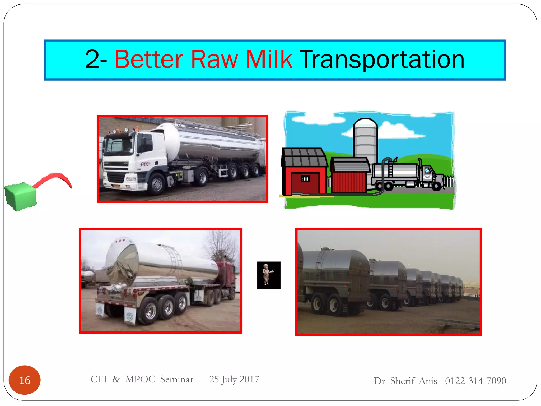 Development Stages in the Domestic Egyptian Dairy Industry | PDF