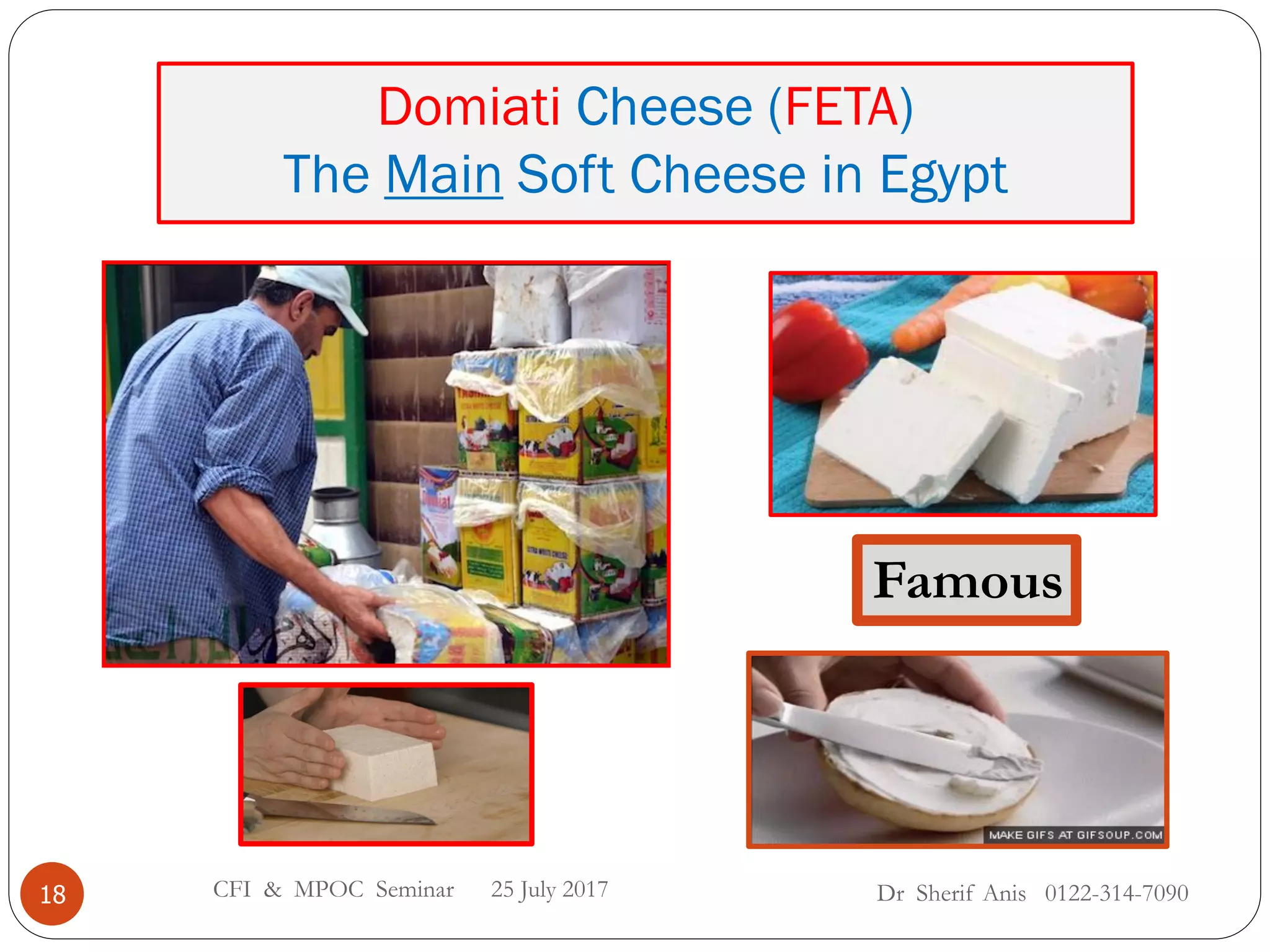 Development Stages in the Domestic Egyptian Dairy Industry | PDF