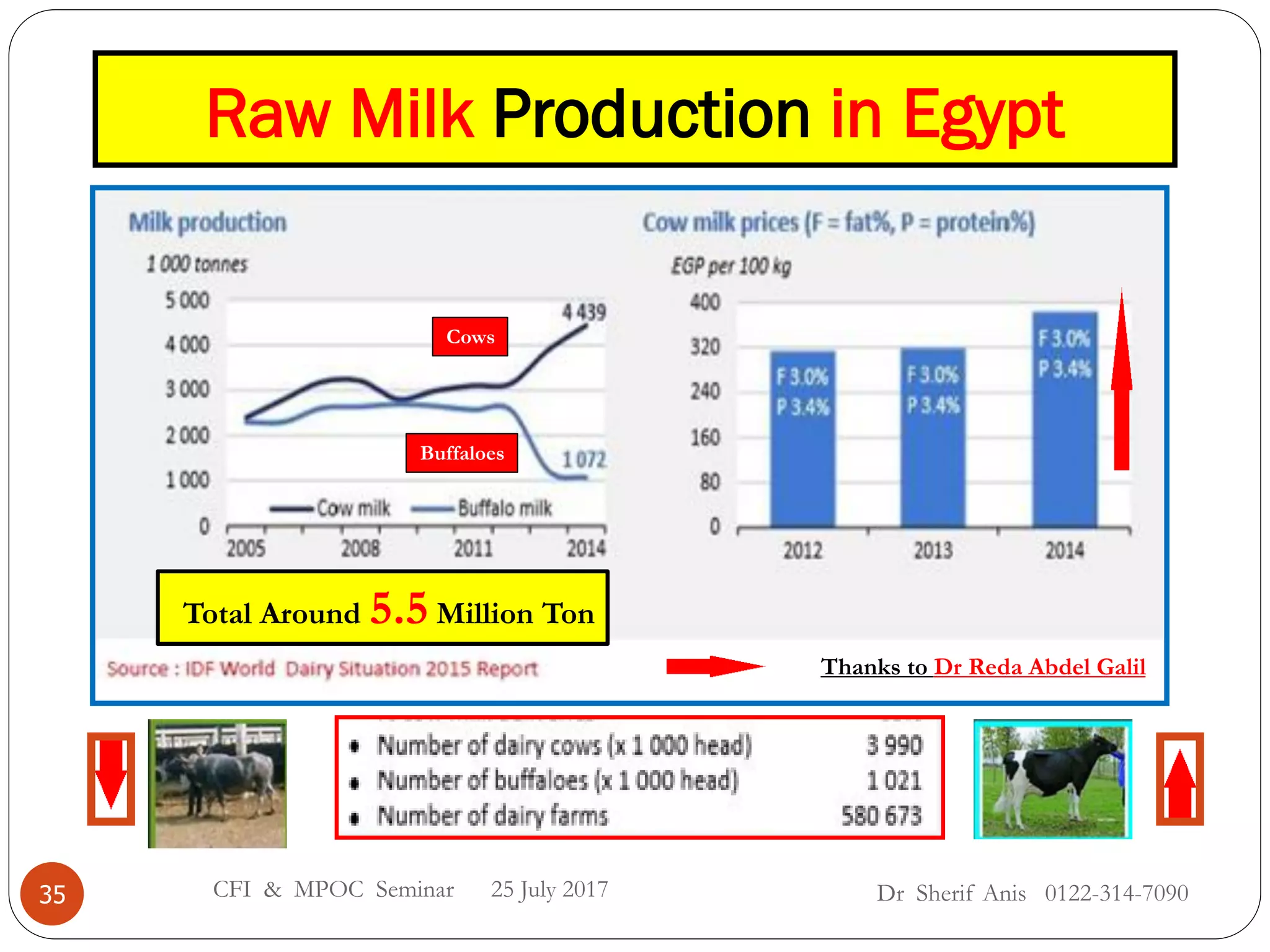 Development Stages in the Domestic Egyptian Dairy Industry | PDF