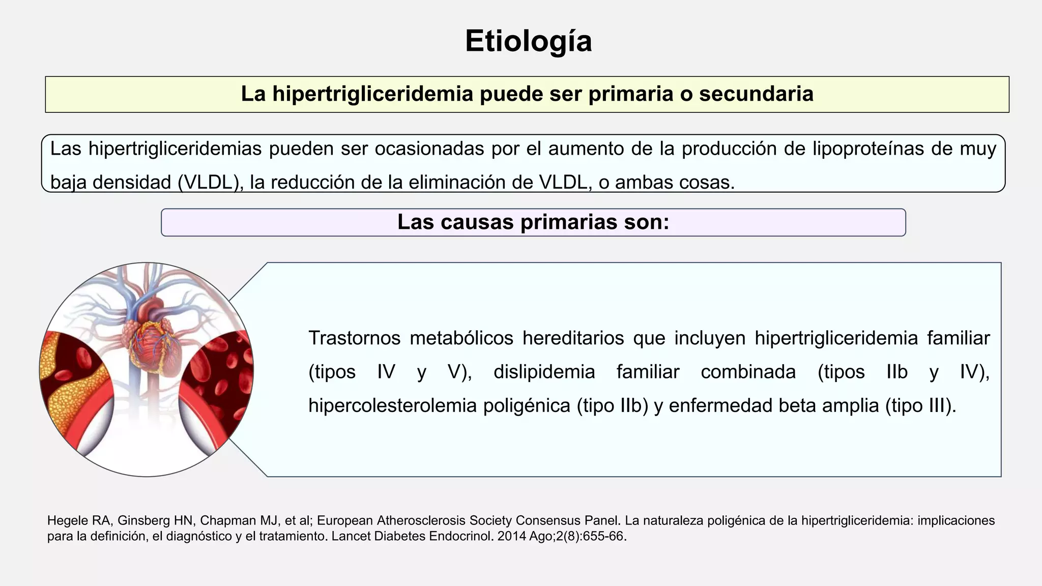 3 dr mario vega hipertrigliceridemia | PPTX