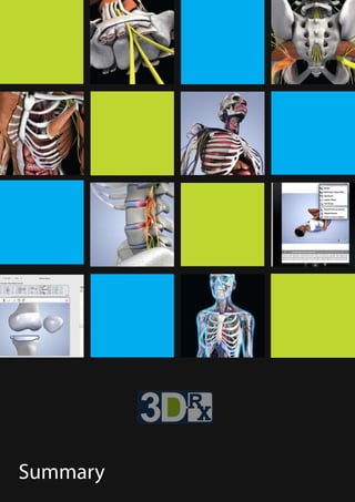 3drx Executive Summary 3 | PDF