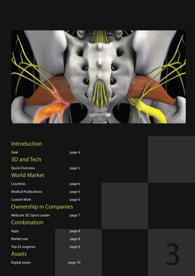 3drx Executive Summary 3 | PDF